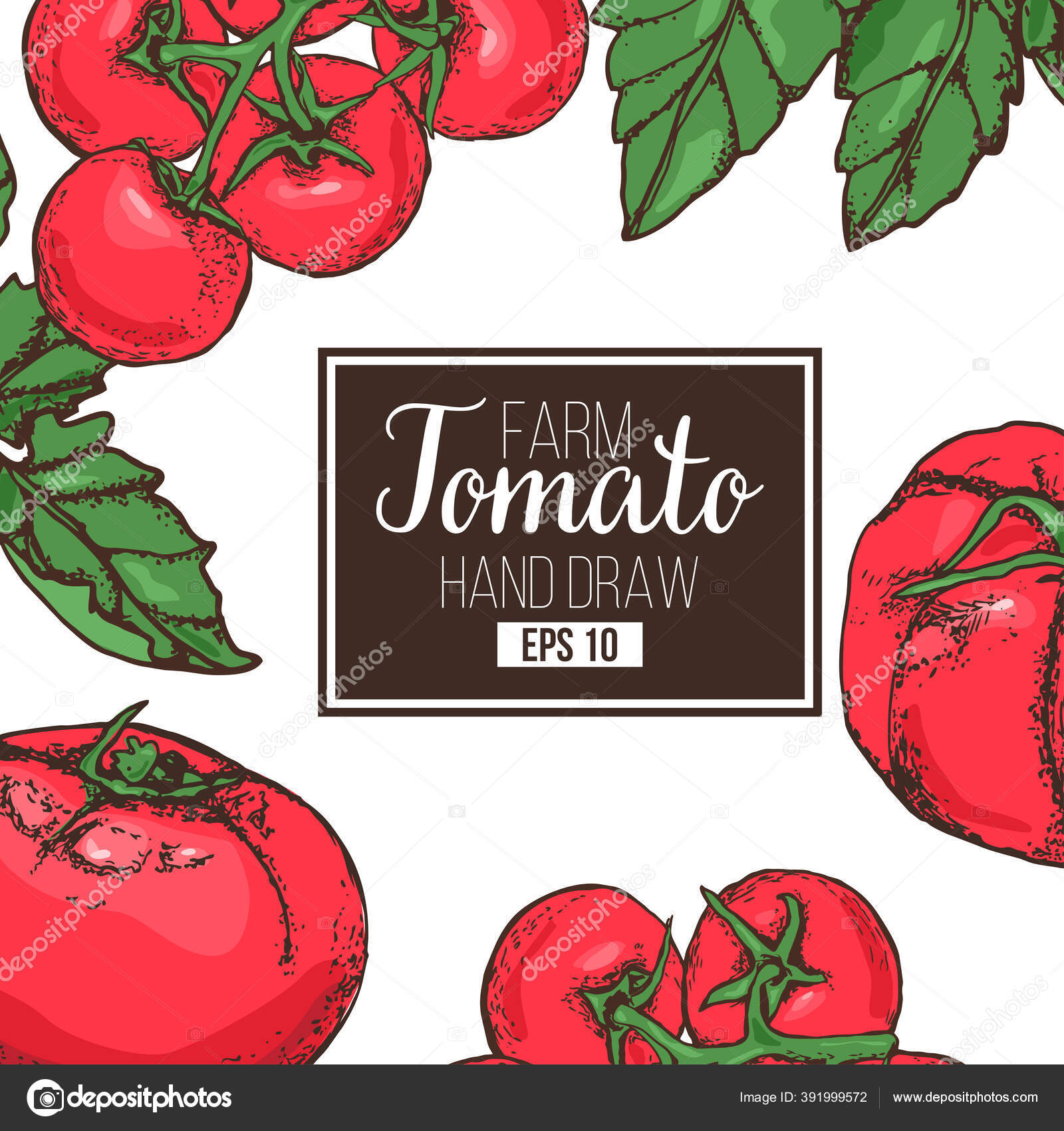 Tomato Frame Isolated Background Tomato Leaf Cherry Branch Concept ...