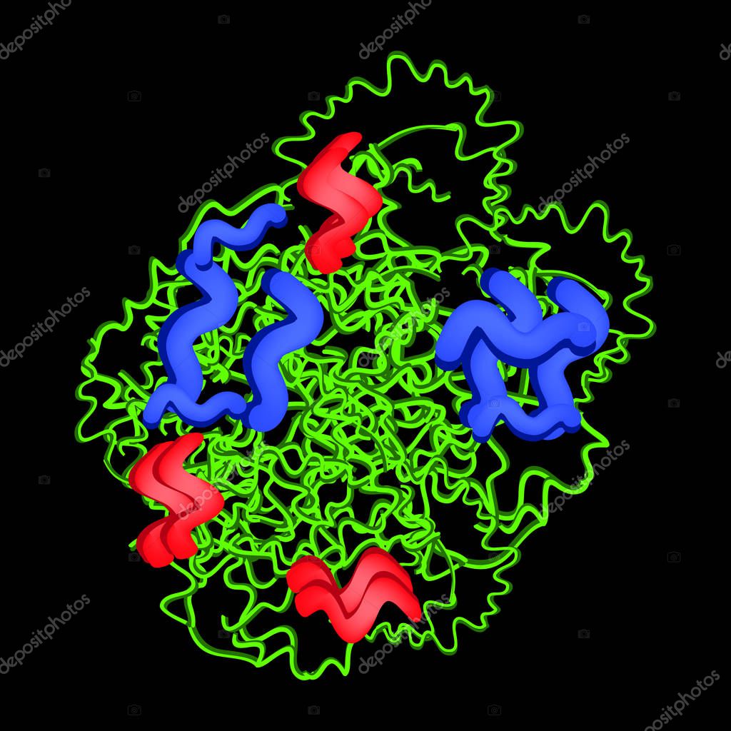 Tripsina fórmula química molecular. Enzima del páncreas. Infografías ...