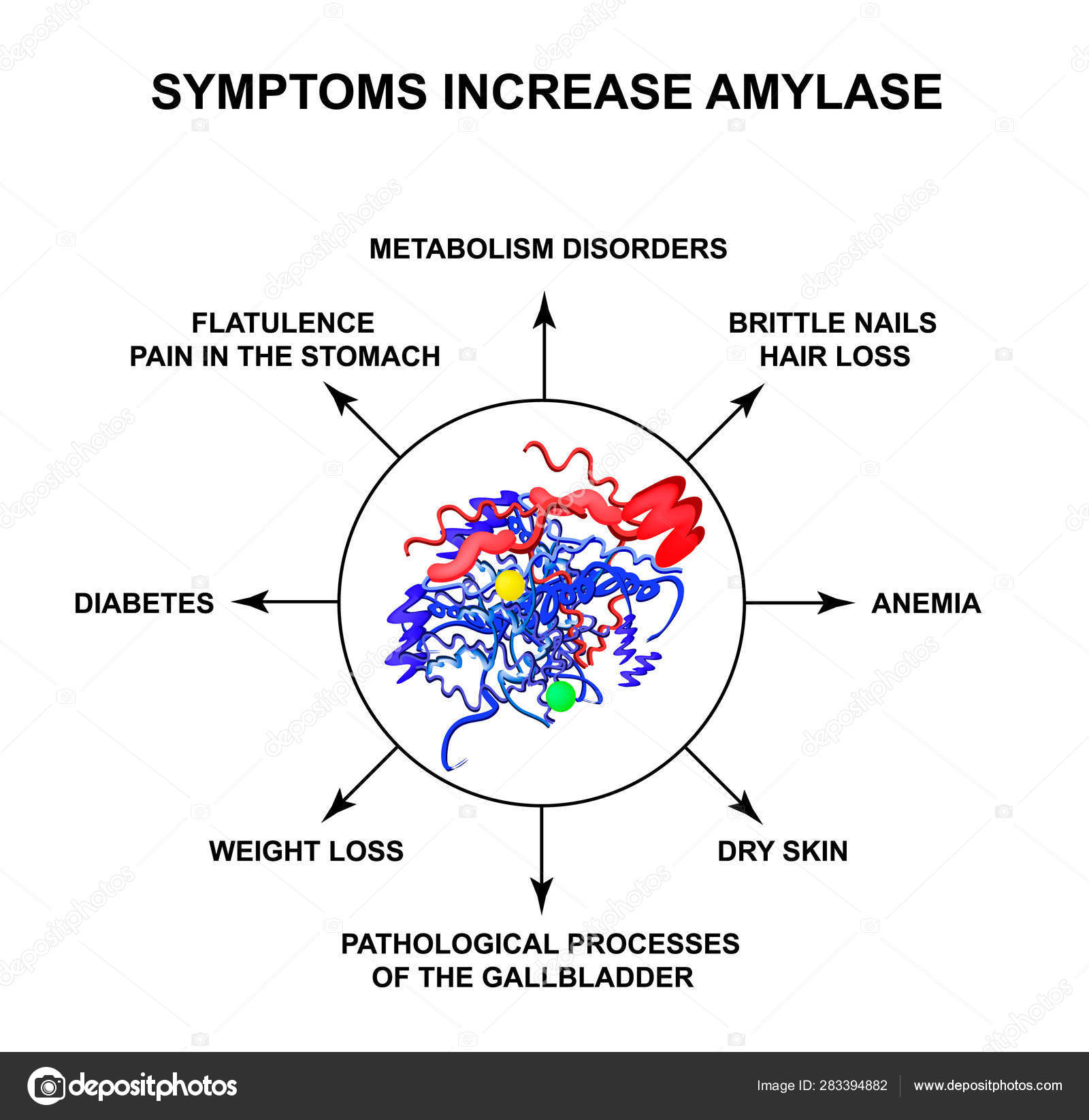 Amylase Enzyme Structure
