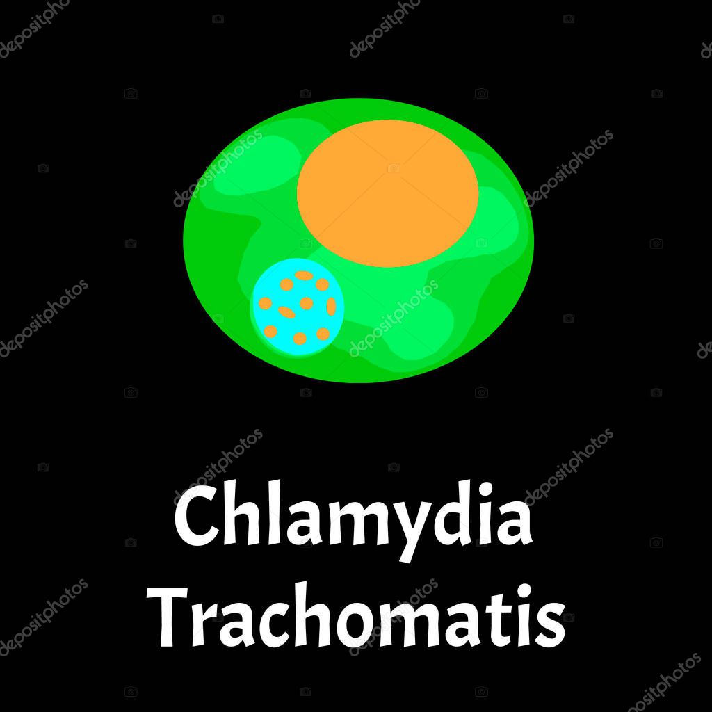 Chlamydia trachomatis. Infecciones bacterianas Clamidiosis ...