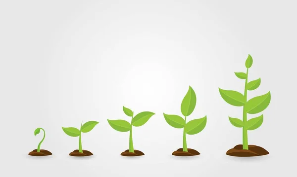 Plant Growth Clipart