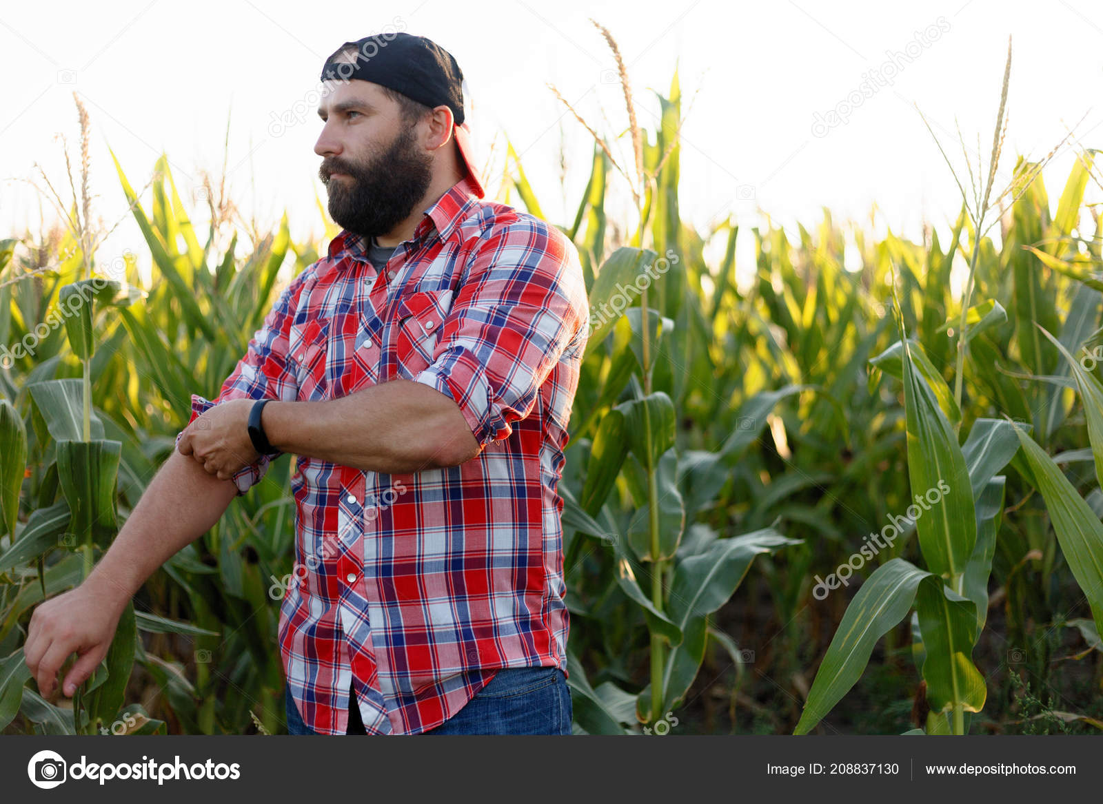 American Farming Photography