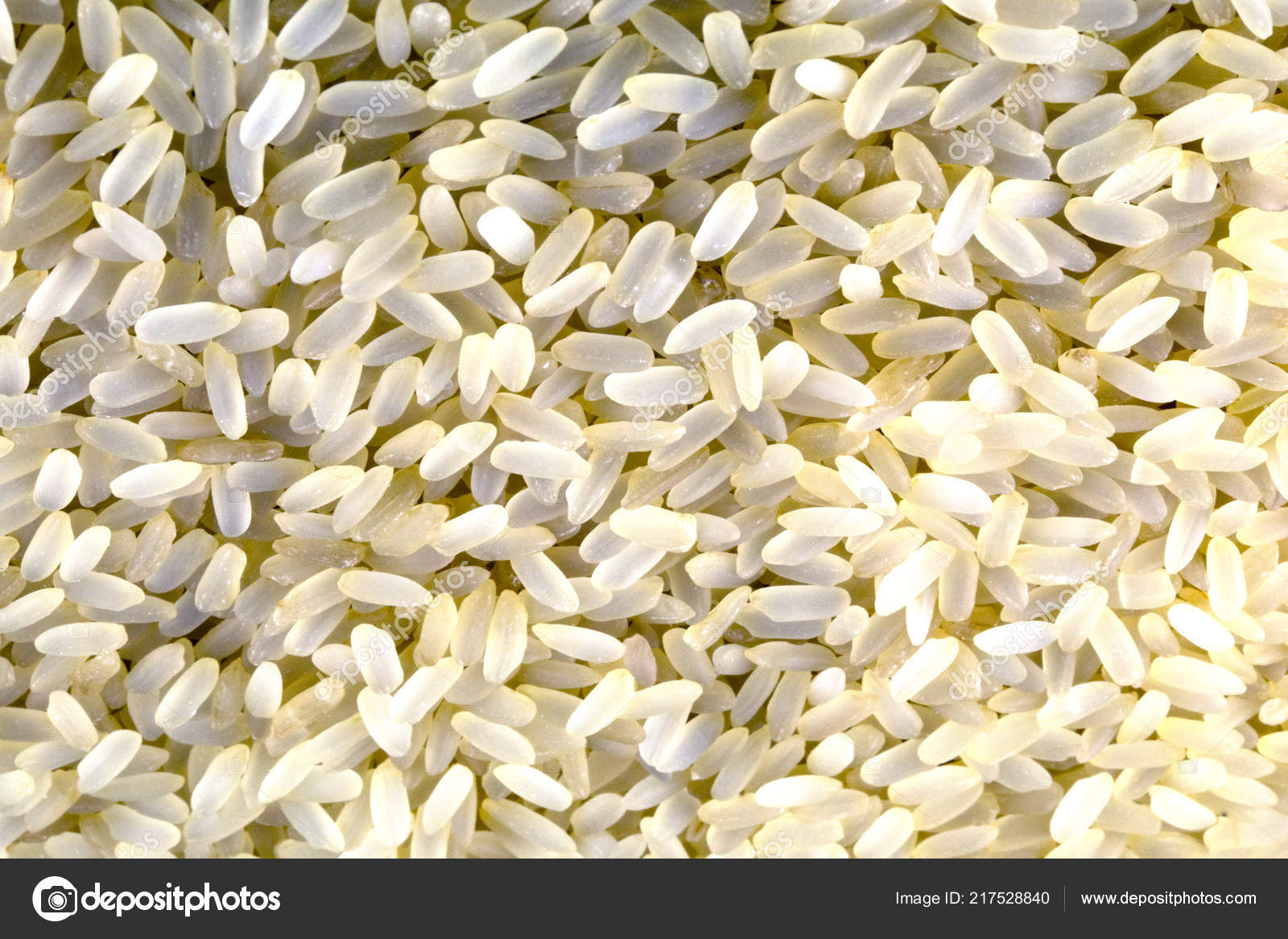 Rice Grains Food Bio — Stock Photo © FRAGOLEROSSE #217528840