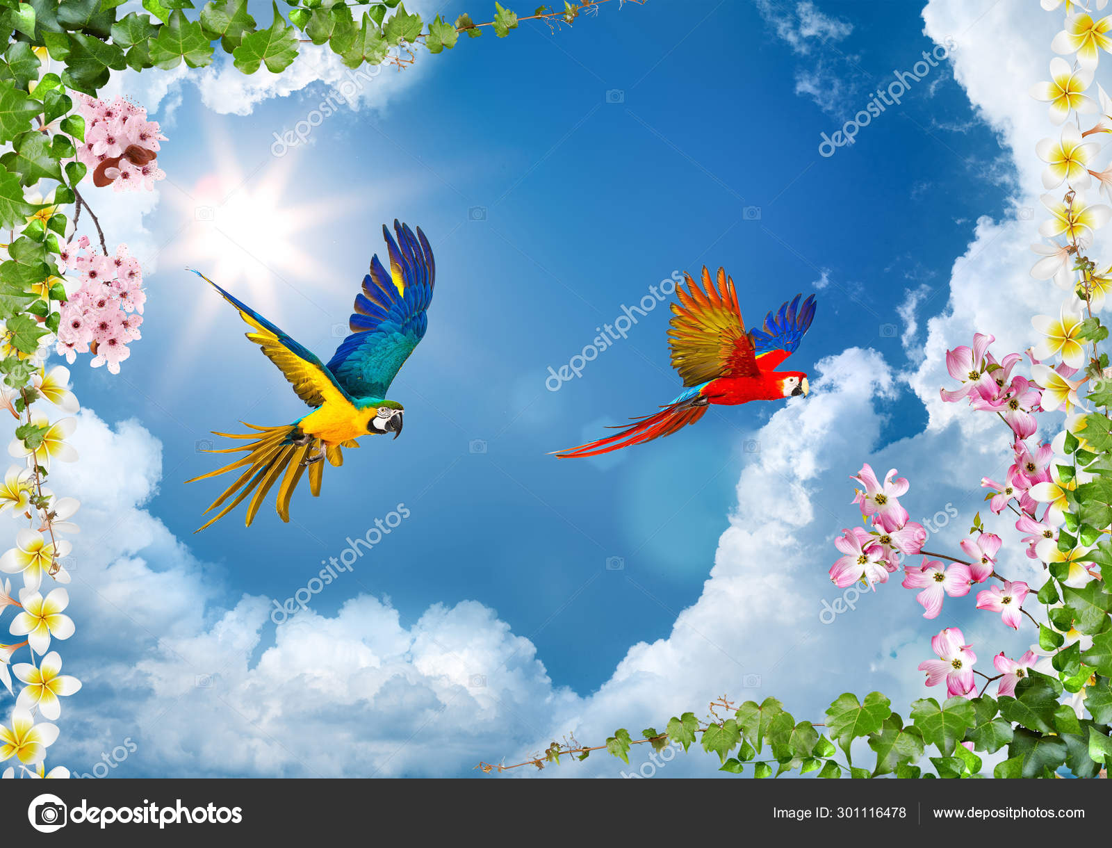 Sky Flower Pigeon Ceiling — Stock Photo © Zevahir #301116478