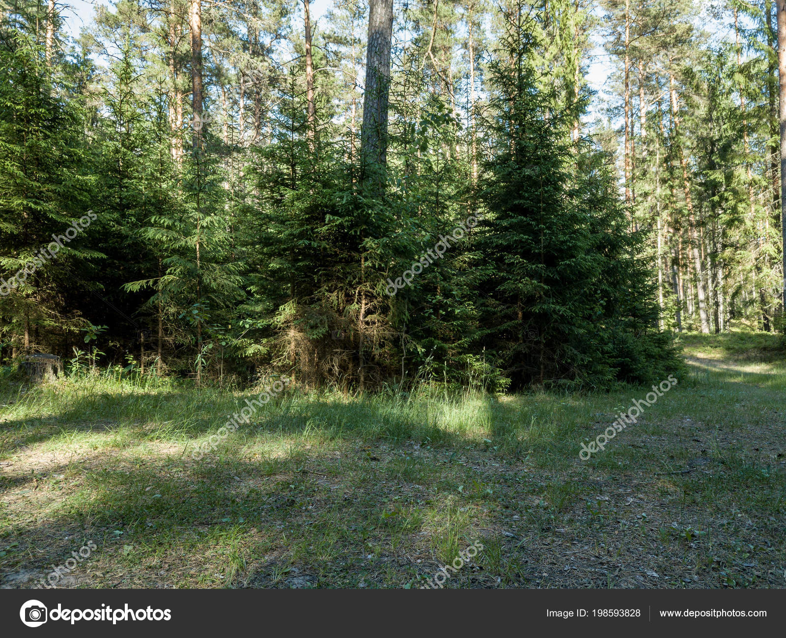 Drone Image Aerial View Rural Area Fields Roads Cloudy Spring — Stock ...