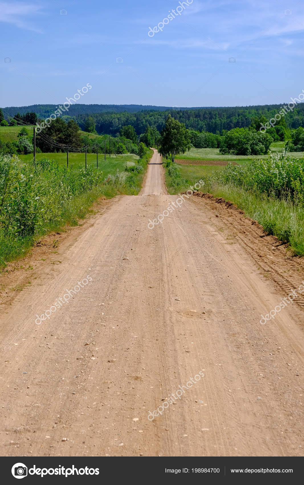 Empty Gravel Road Tracks Mud Countryside Summer Heat Perspective Forest ...