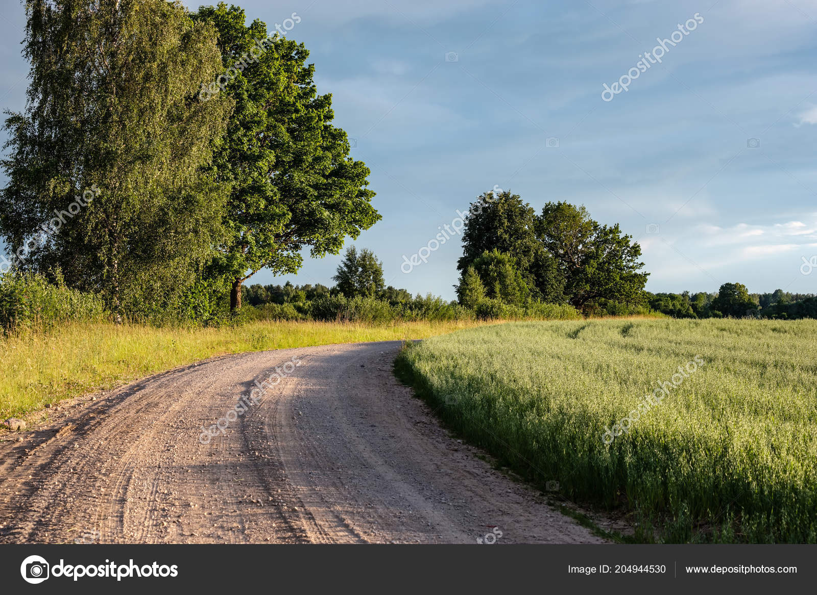 Simple Tree Landscape Photography