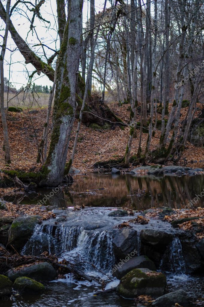 cascada sobre las rocas en el arroyo del río en el bosque a finales de ...