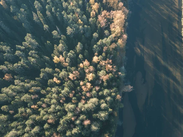 drone image. aerial view of wavy river in autumn colored forest. latvia ...
