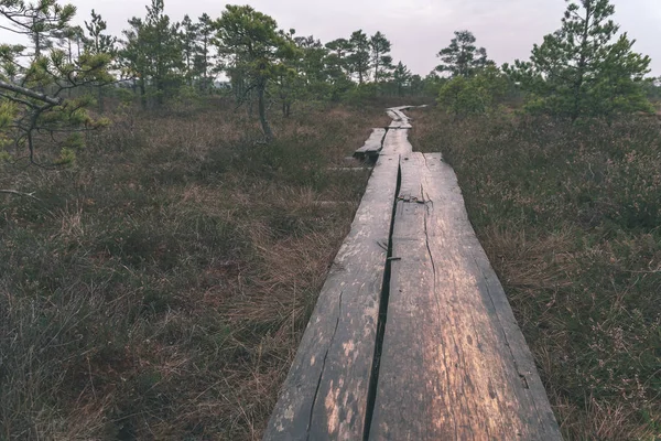 Plank trail Stock Photos, Royalty Free Plank trail Images | Depositphotos