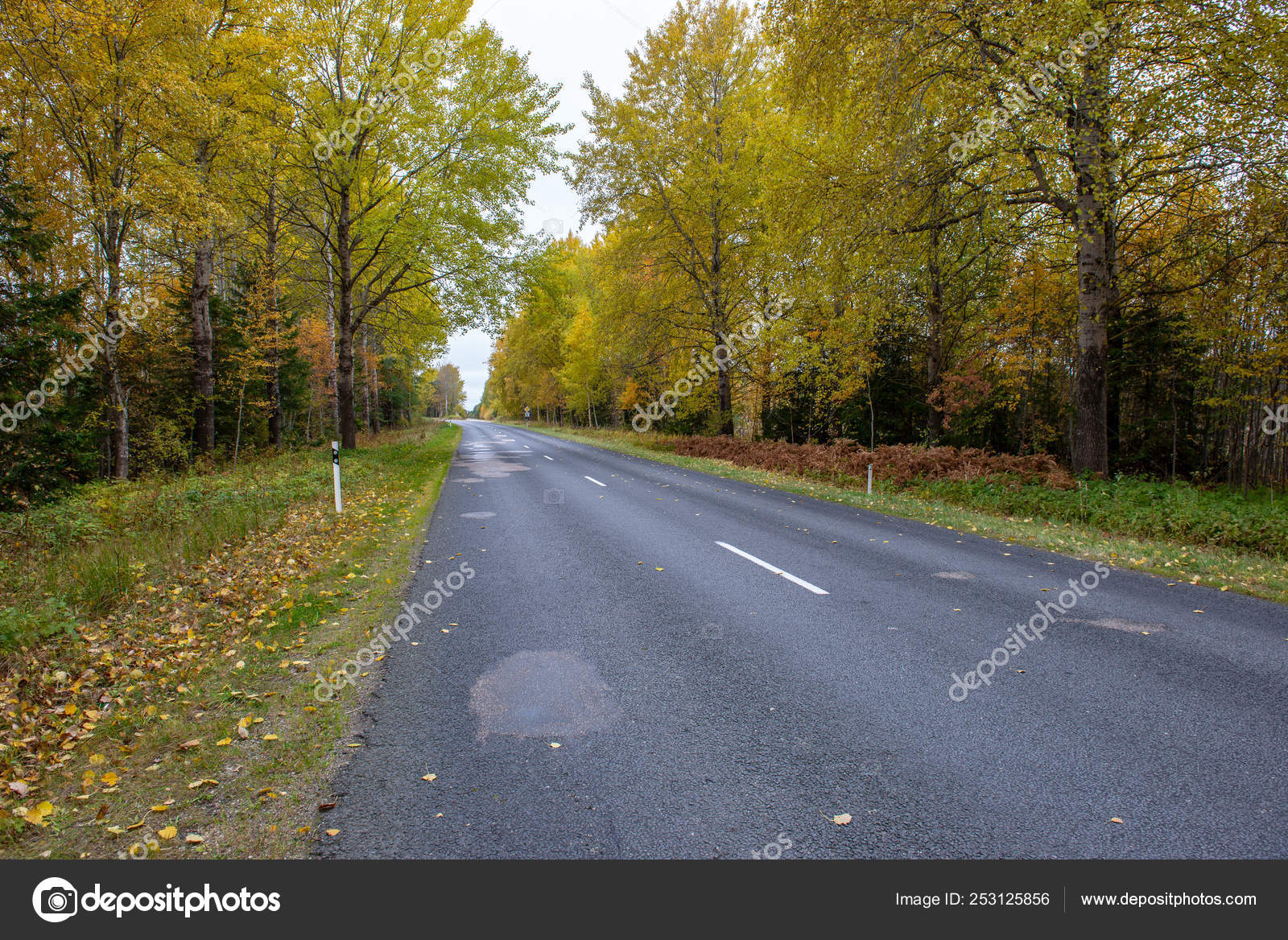 Empty asphalt road in autumn — Stock Photo © martinsvanags #253125856