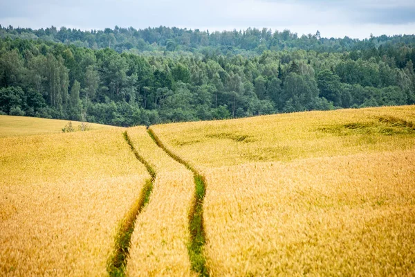 Hayfield Stock Photos, Royalty Free Hayfield Images | Depositphotos®