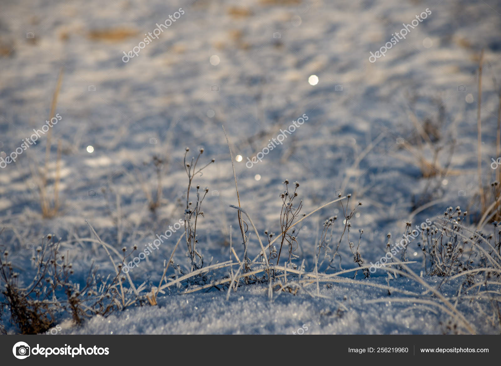 Frozen Sea Beach Winter Low Snow Coverage Ice Sunny Day — Stock Photo ...
