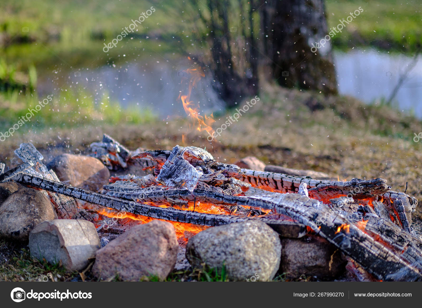 Open fire burning logs in field with green grass — Stock Photo ...