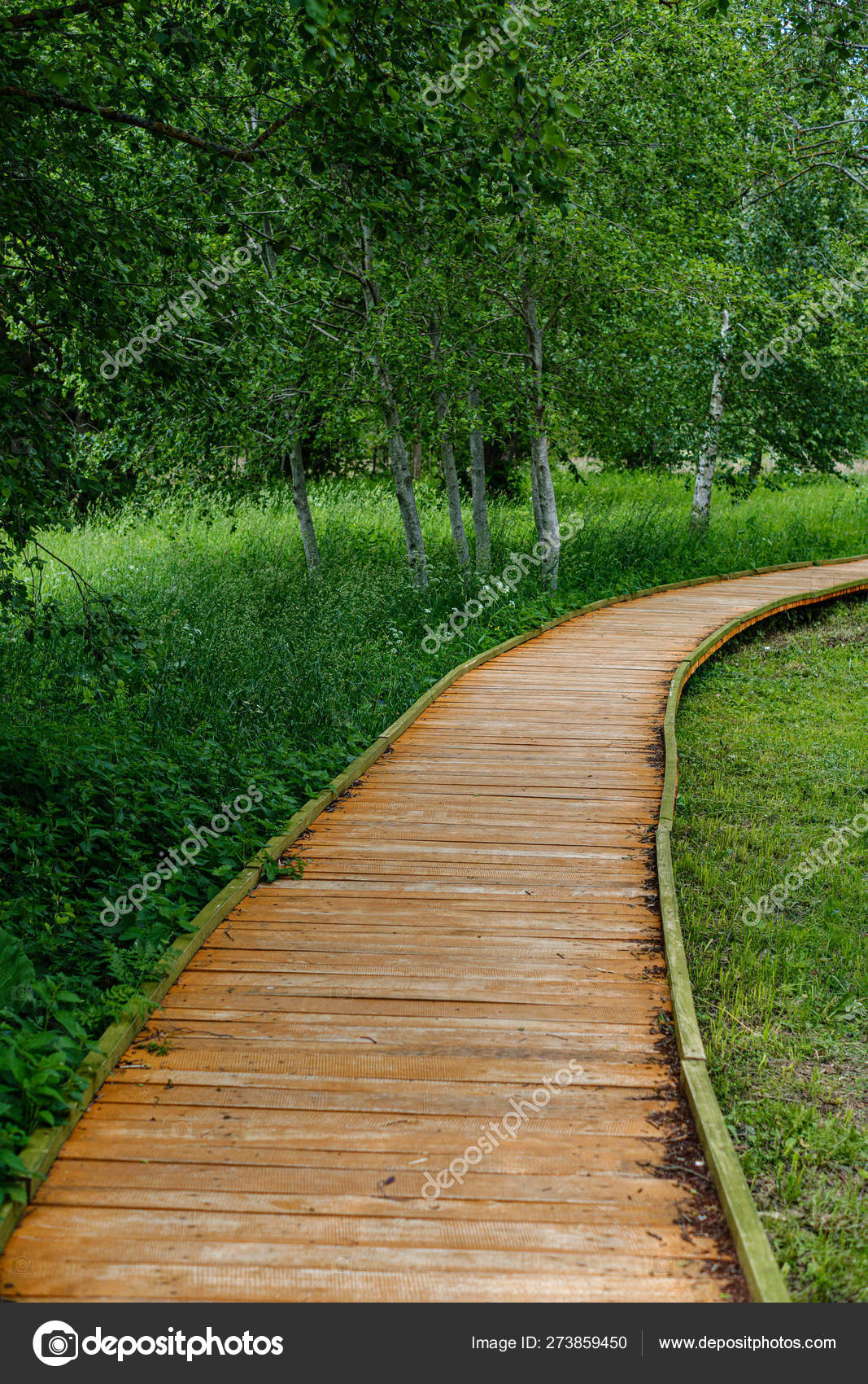 Beautiful wooden plank pathway walkway in green pasture Stock Photo by ...