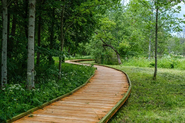 Beautiful wooden plank pathway walkway in green pasture Stock Photo by ...