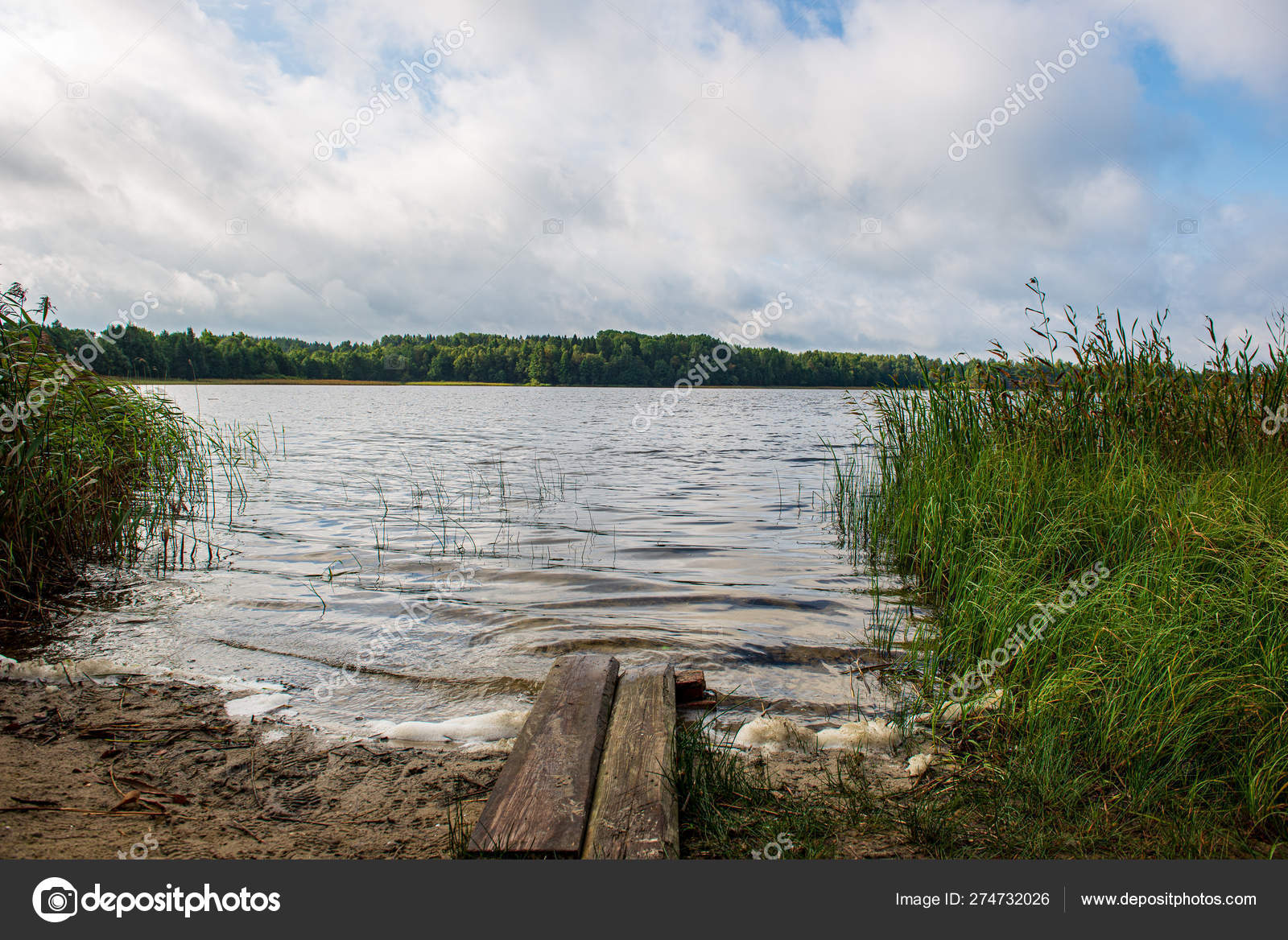 Deep dark forest lake with reflections of trees and green foliag Stock ...