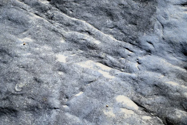 Stone orca Stock Photos, Royalty Free Stone orca Images | Depositphotos