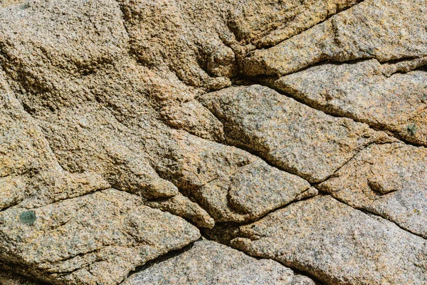 Los paleologia images libres de droit, photos de Los paleologia ...