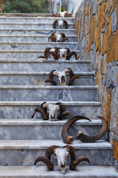 Goat steps Stock Photos, Royalty Free Goat steps Images | Depositphotos®