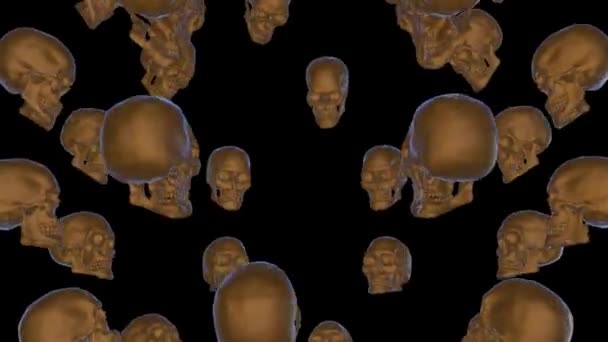 1,947 Anatomia antiga Videos, Royalty-free Stock Anatomia antiga ...