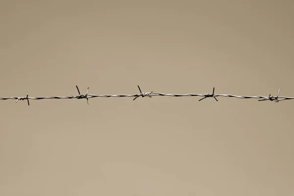 Barbed wire background Stock Photos, Royalty Free Barbed wire ...