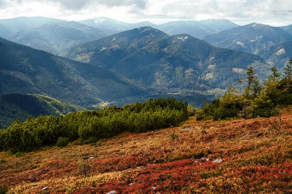 Carpates montagnes paysage images libres de droit, photos de Carpates ...