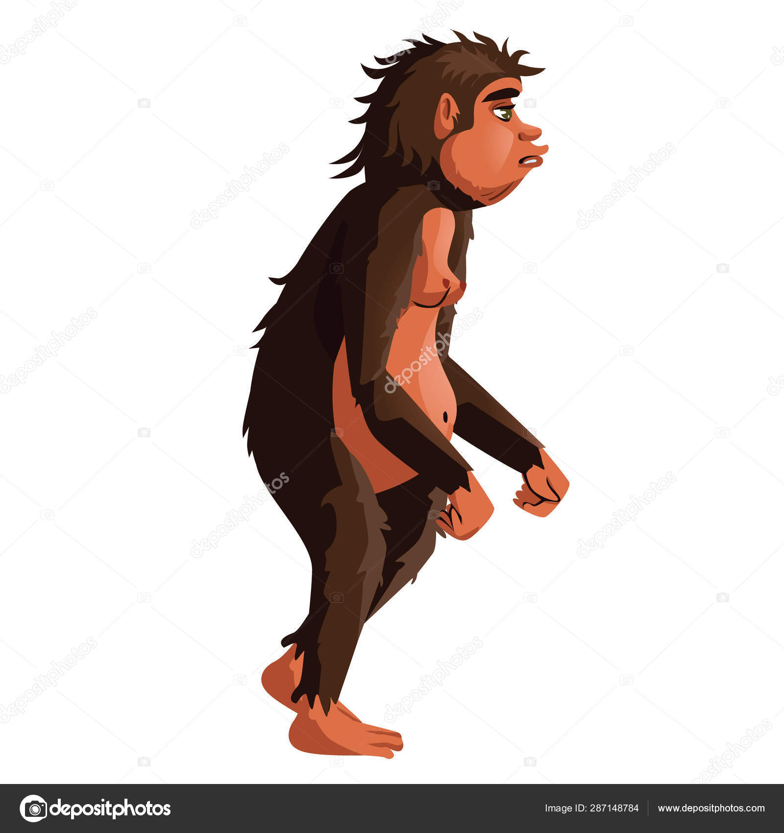 Ancient monkey, human ancestor illustration Stock Vector Image by ...