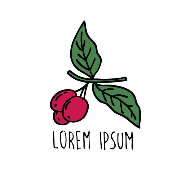 Blueberry doodle icon — Stock Vector © pani_chernous #249038100