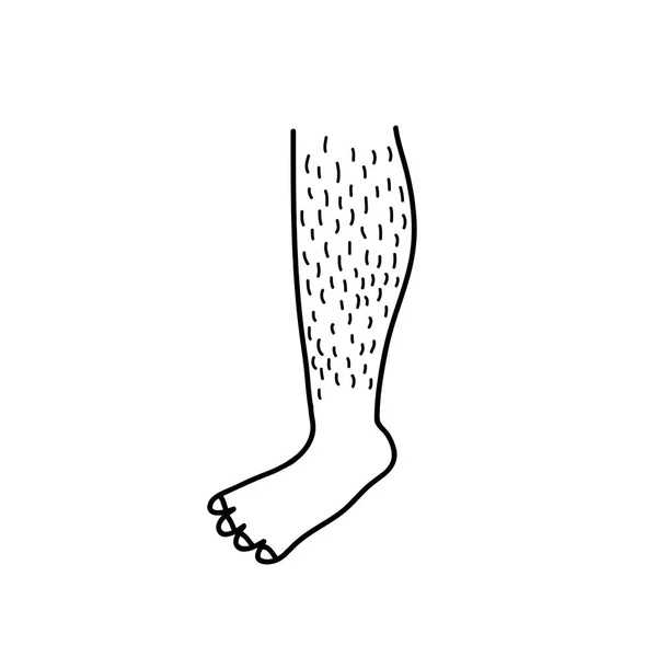 753 Hairy legs Vectors, Royalty-free Vector Hairy legs Images ...