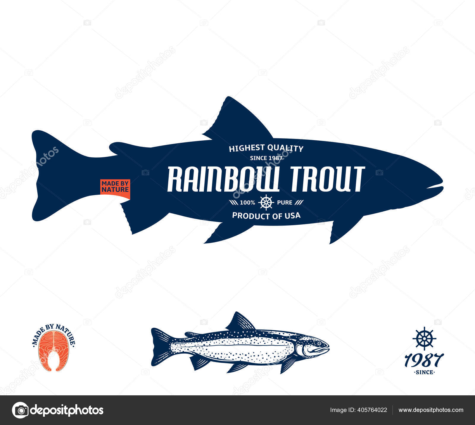 Rainbow Trout Vector