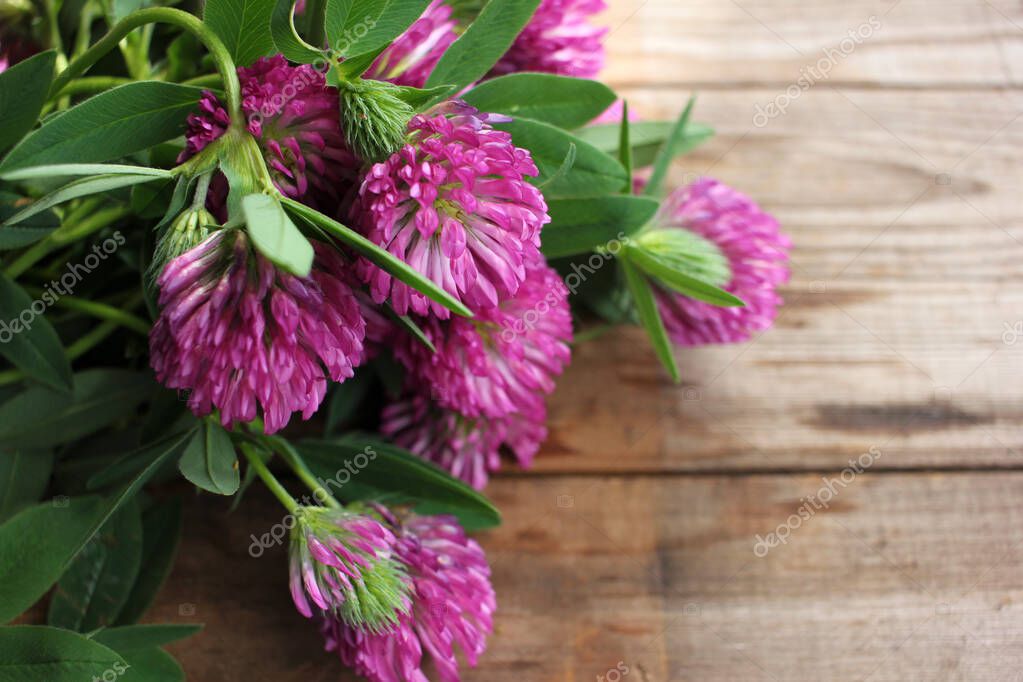 Ramo de flores de trébol rojo en una mesa de madera rústica. Decoración ...