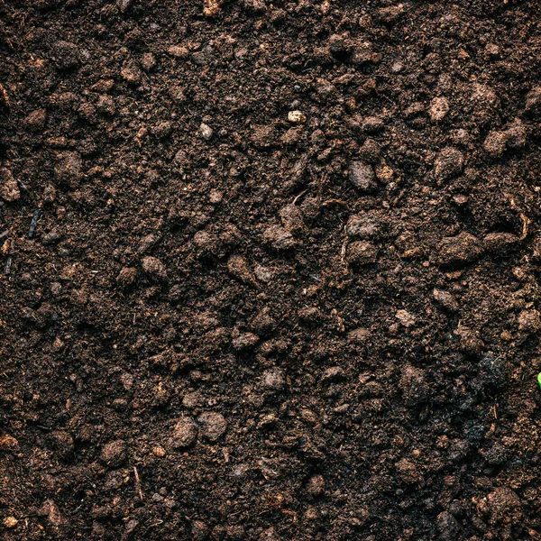 ᐈ Fertile soil stock images, Royalty Free fertile soil pictures ...