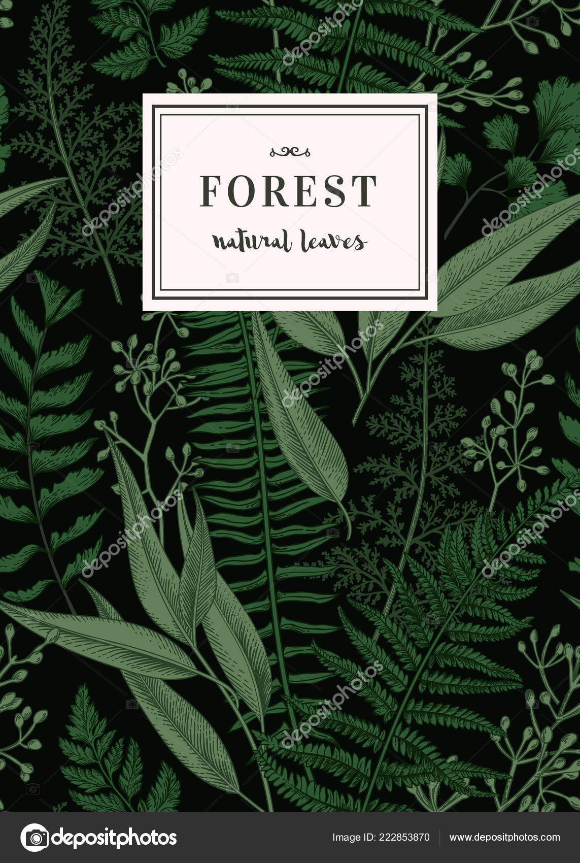 Botanical Card Vintage Style Seamless Floral Pattern Leaves Vector ...