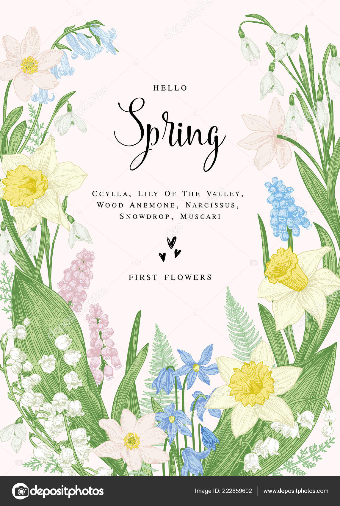 Floral Card Spring Flowers Botanical Illustration Pastel Colors Vector ...