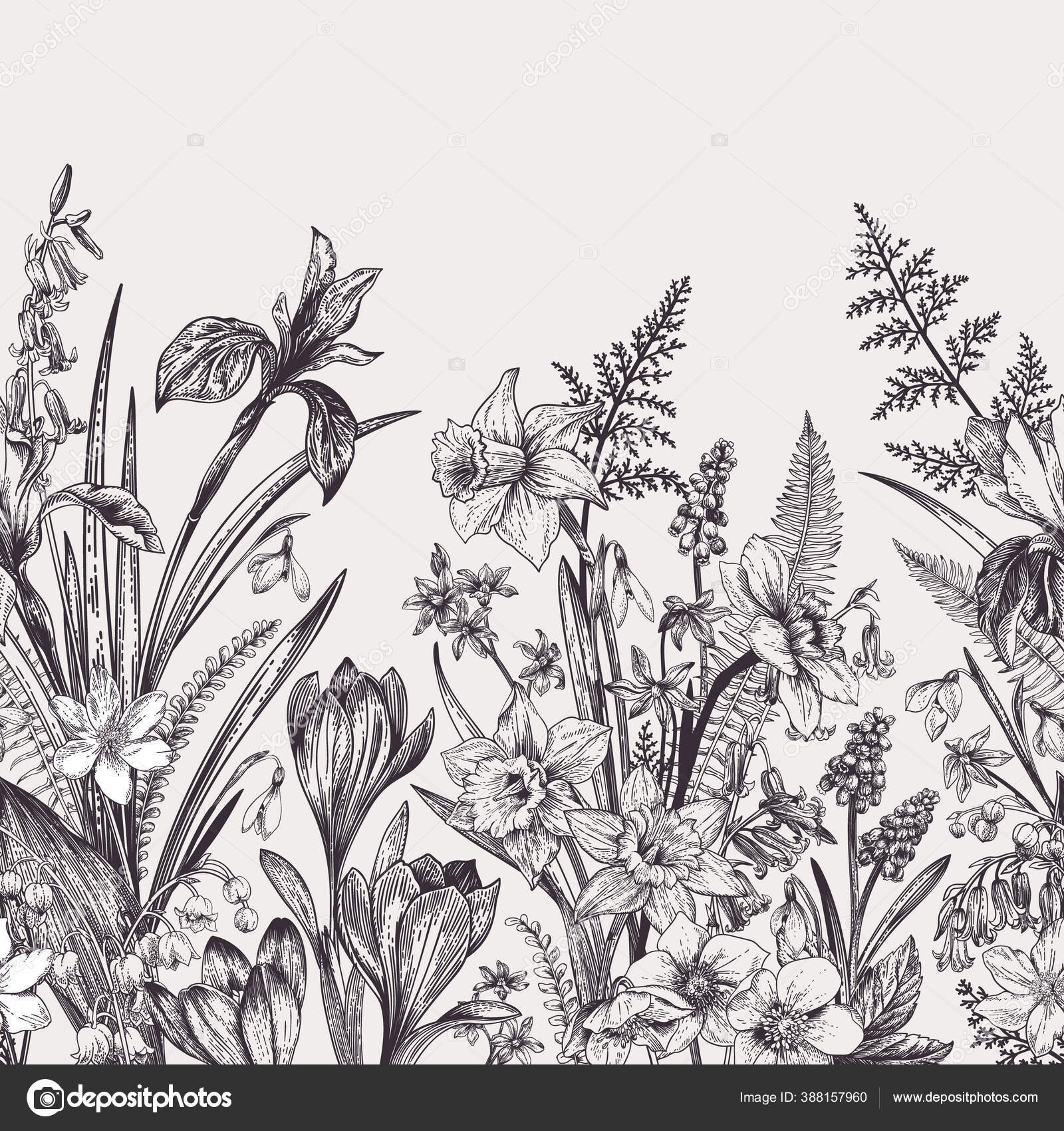 Spring Flowers Clip Art Black And White Borders