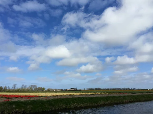 Landschap friesland Stock Photos, Royalty Free Landschap friesland ...