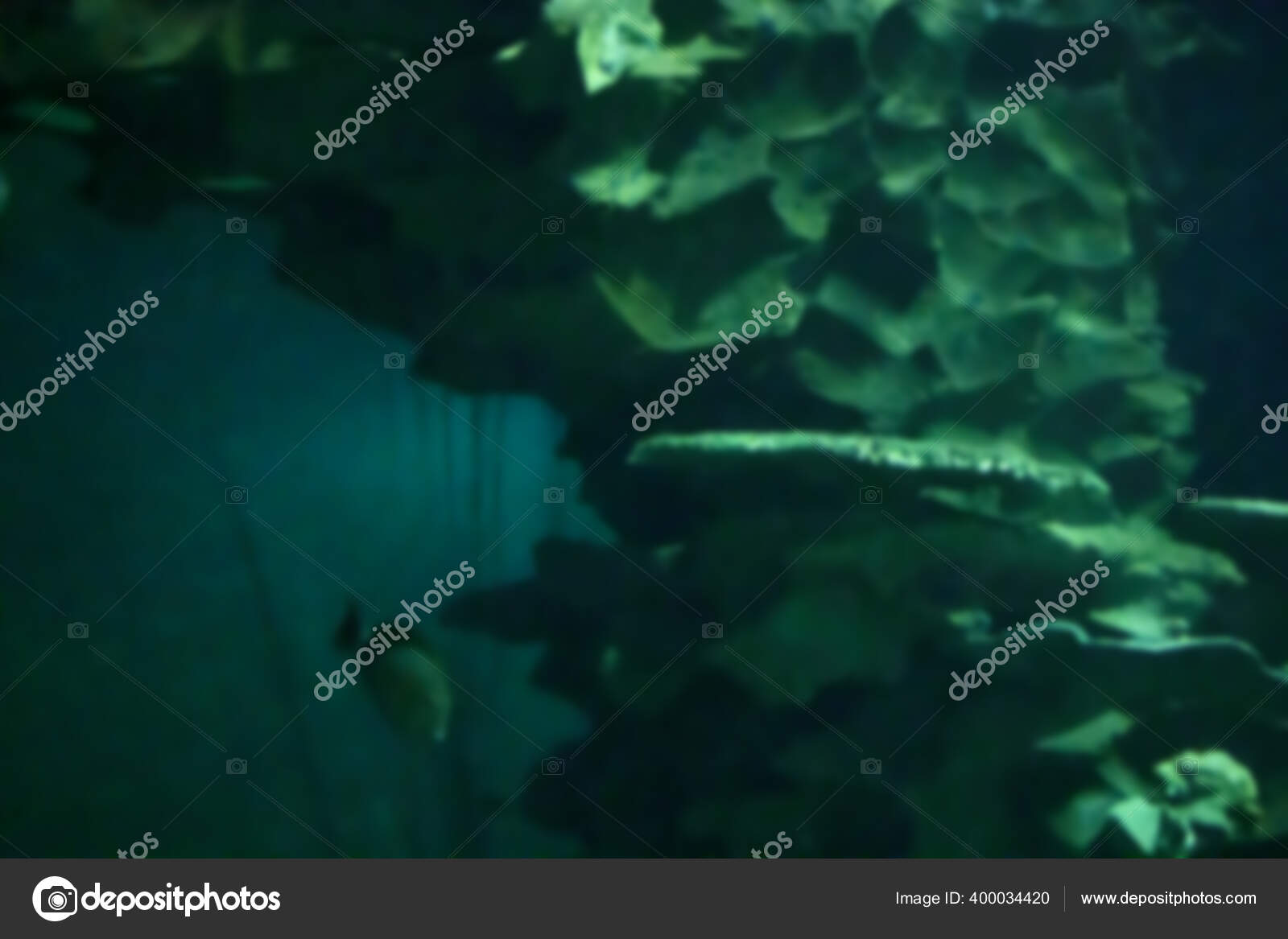 Underwater Ocean Abstract Blur Background — Stock Photo © Kwangmoo ...