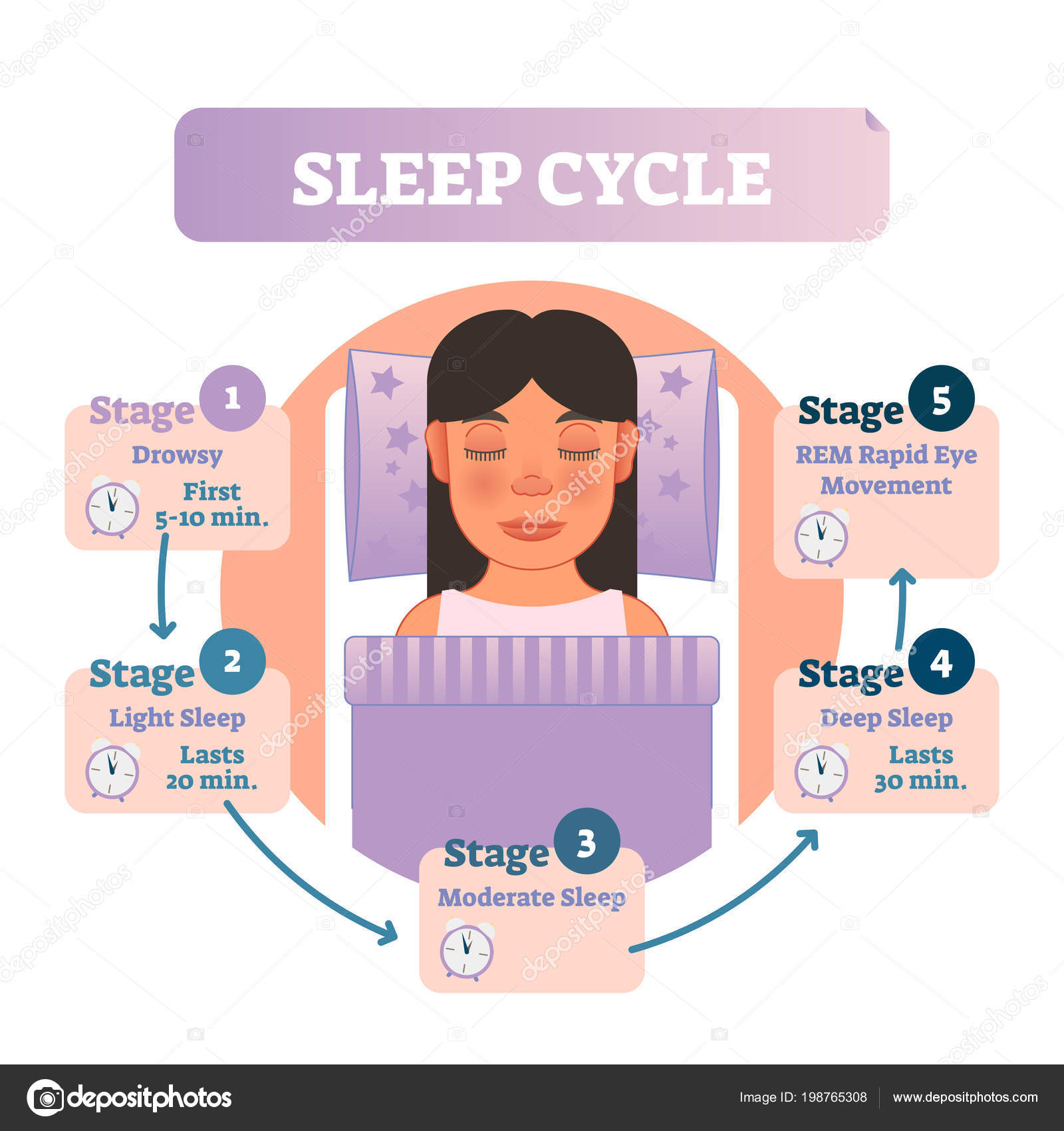 Healthy human sleep cycle vector illustration diagram with female in ...