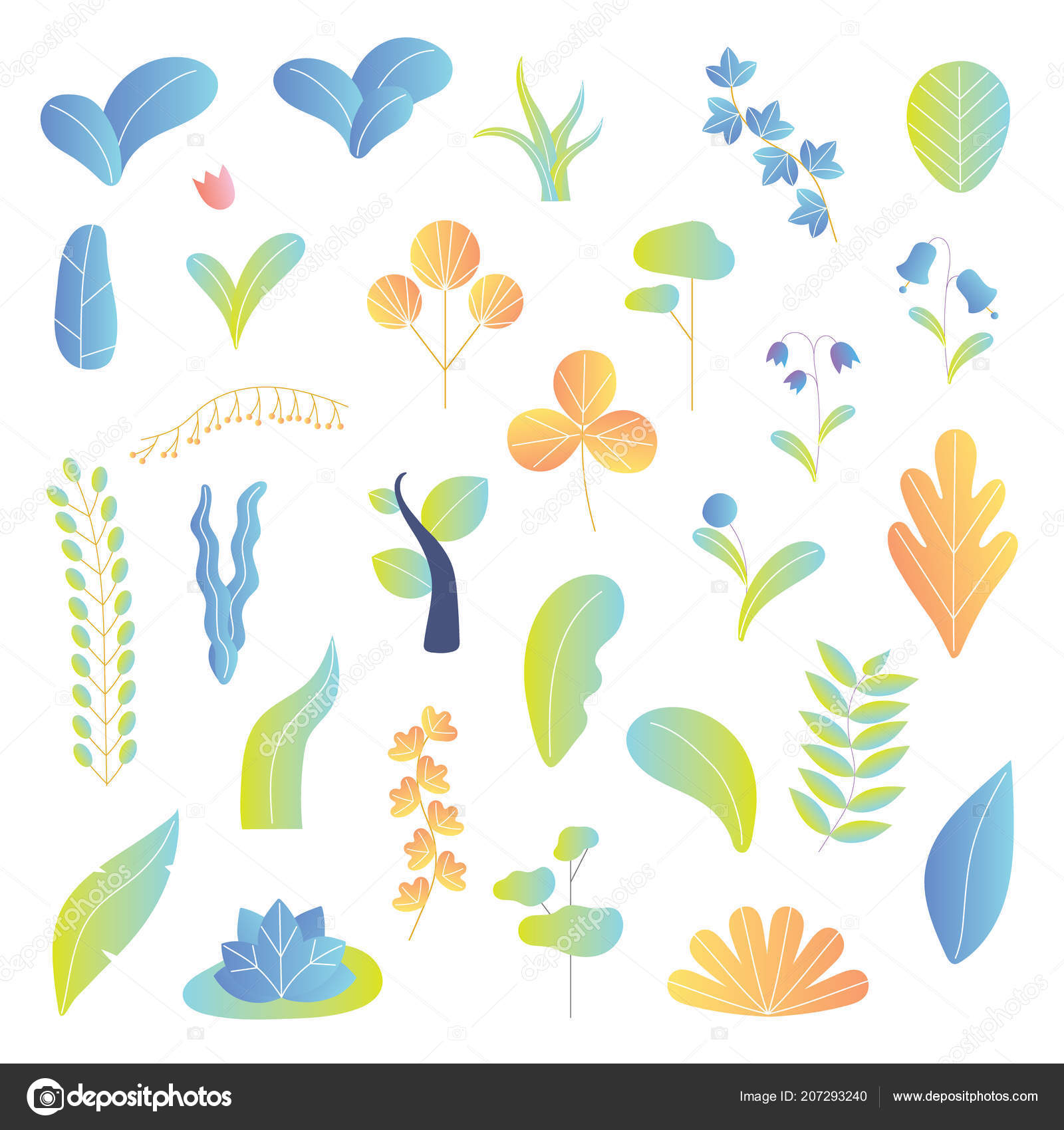 Modern plants vector illustration background elements collection set ...
