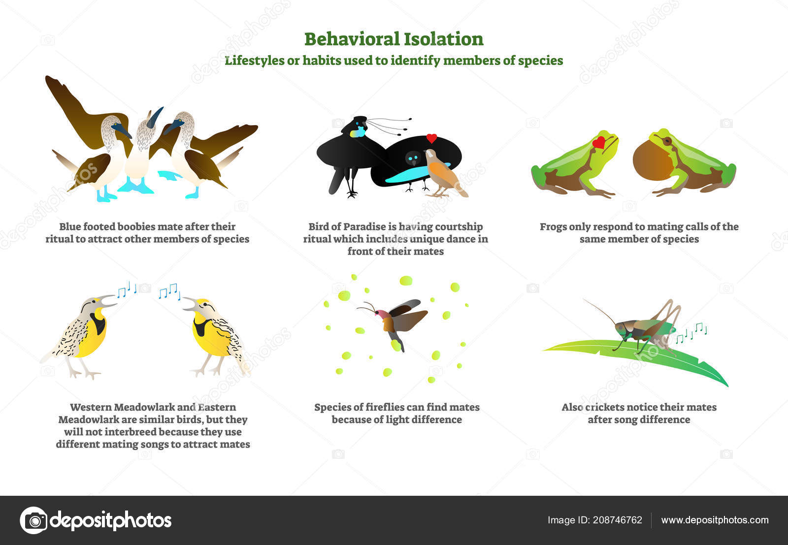 Behavioral isolation vector illustration collection set. Explanation ...