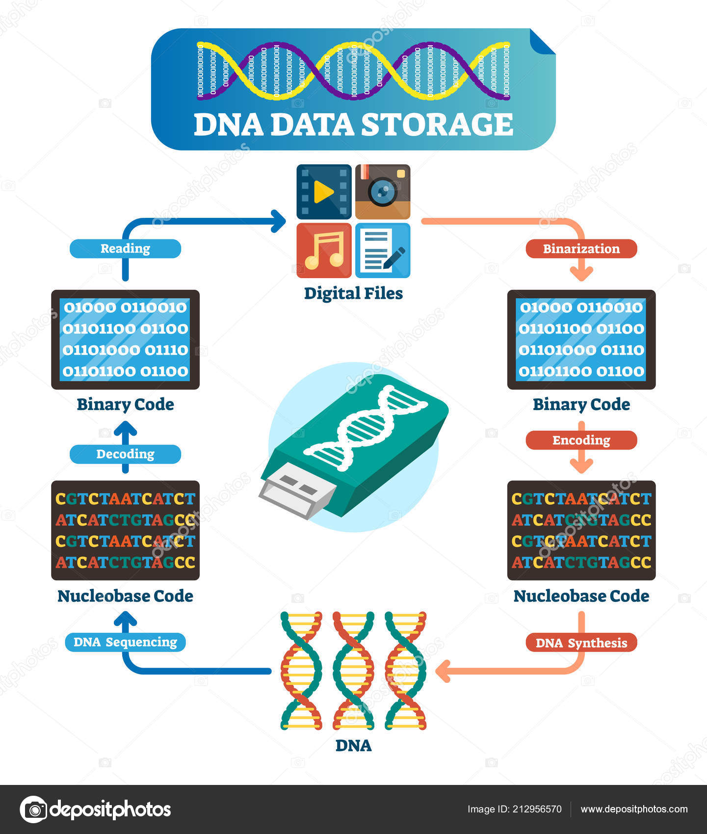 Video Encoding Infographic