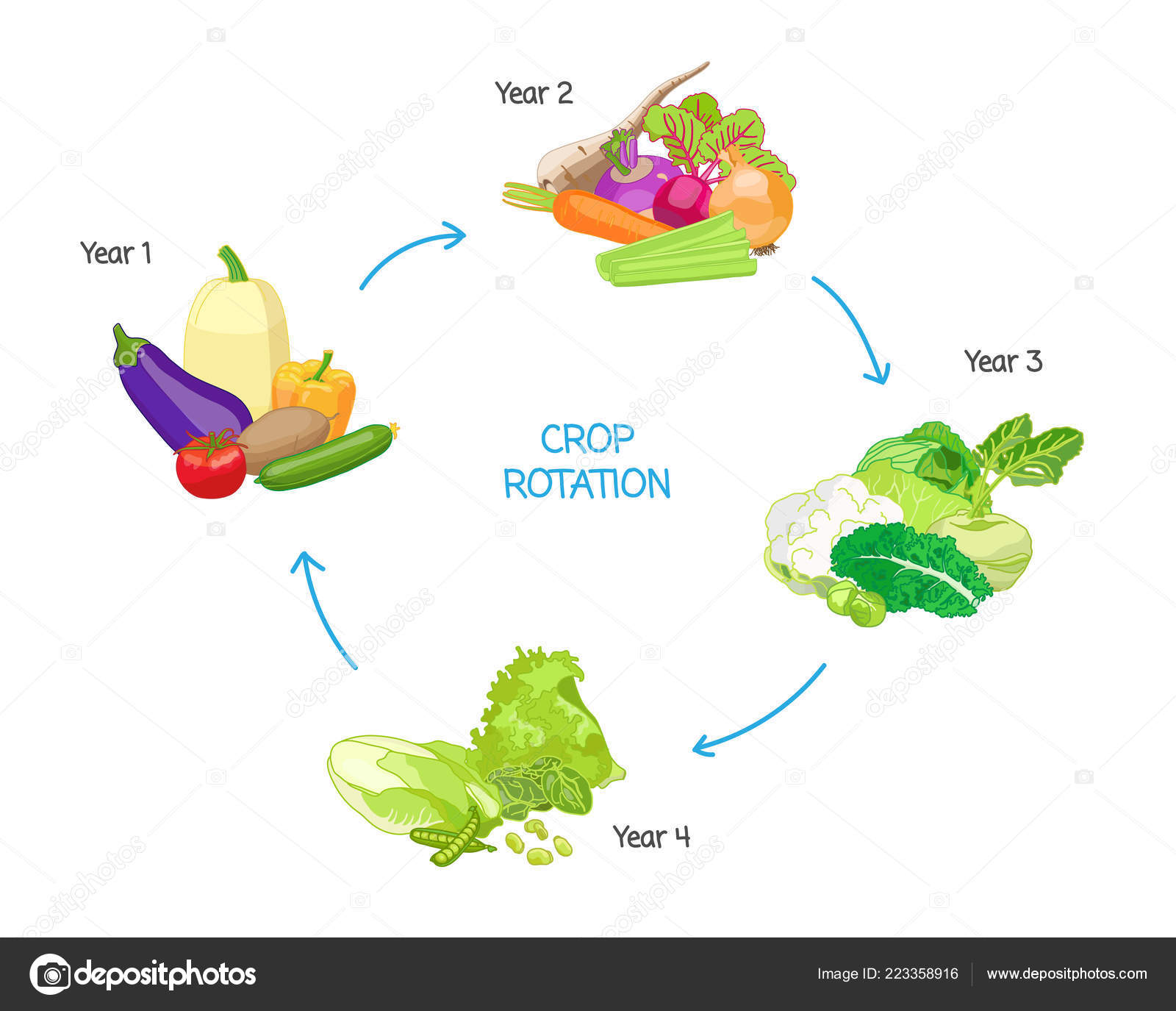 Rotation des cultures pratiques agricoles, cycle saisonnier agricole ...