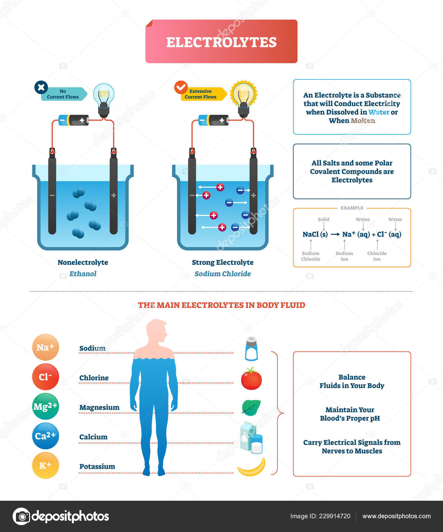 Electrolytes test vector illustration. Body fluid labeled diagram ...
