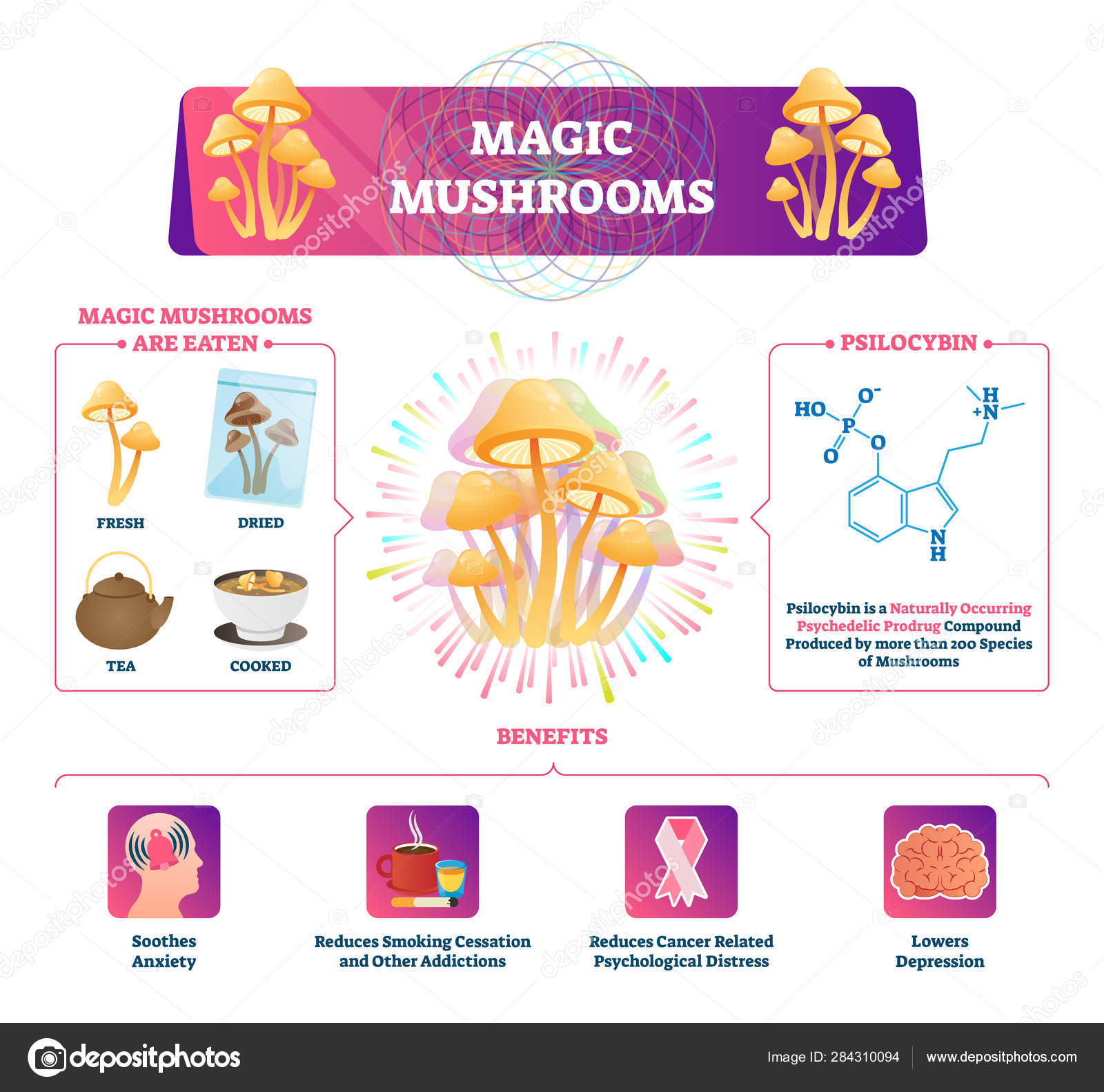 Magic mushrooms vector illustration. Labeled characteristics graphic ...