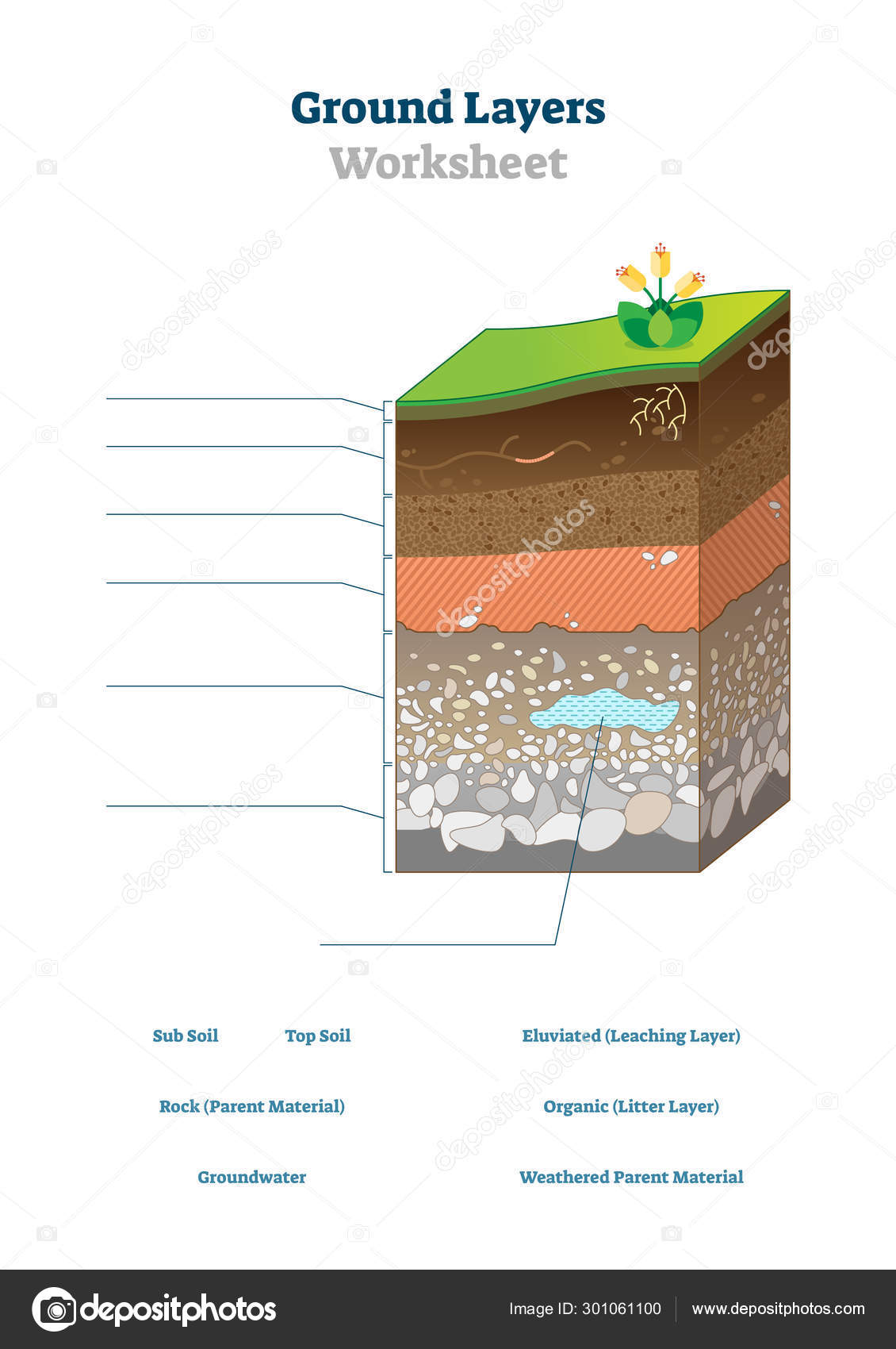 Arbeitsblatt Zu Den Bodenschichten
