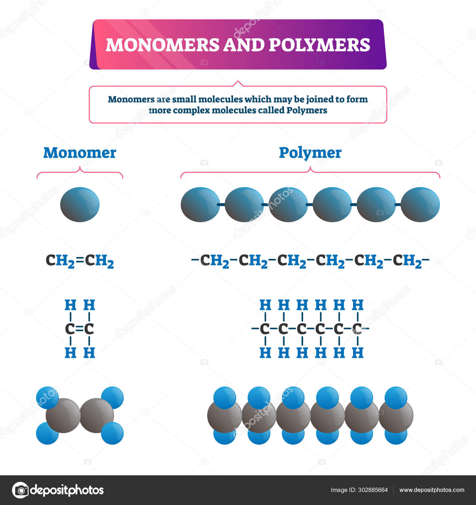 Polymers And Monomers Examples
