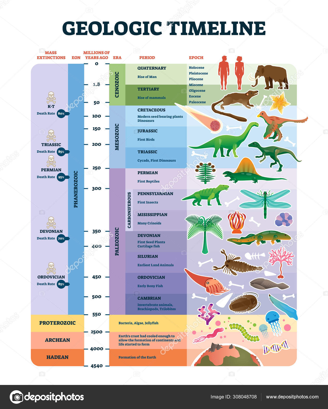 Geologic timeline scale vector illustration. Labeled earth history ...