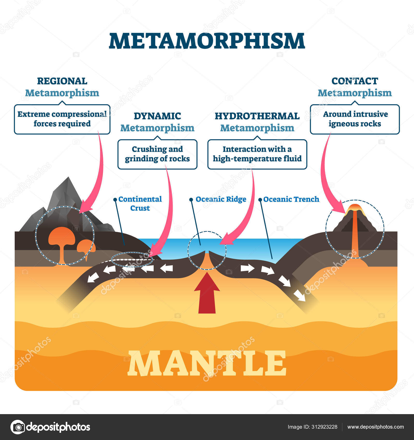 Metamorphism vector illustration. Labeled mineral geologic structure ...