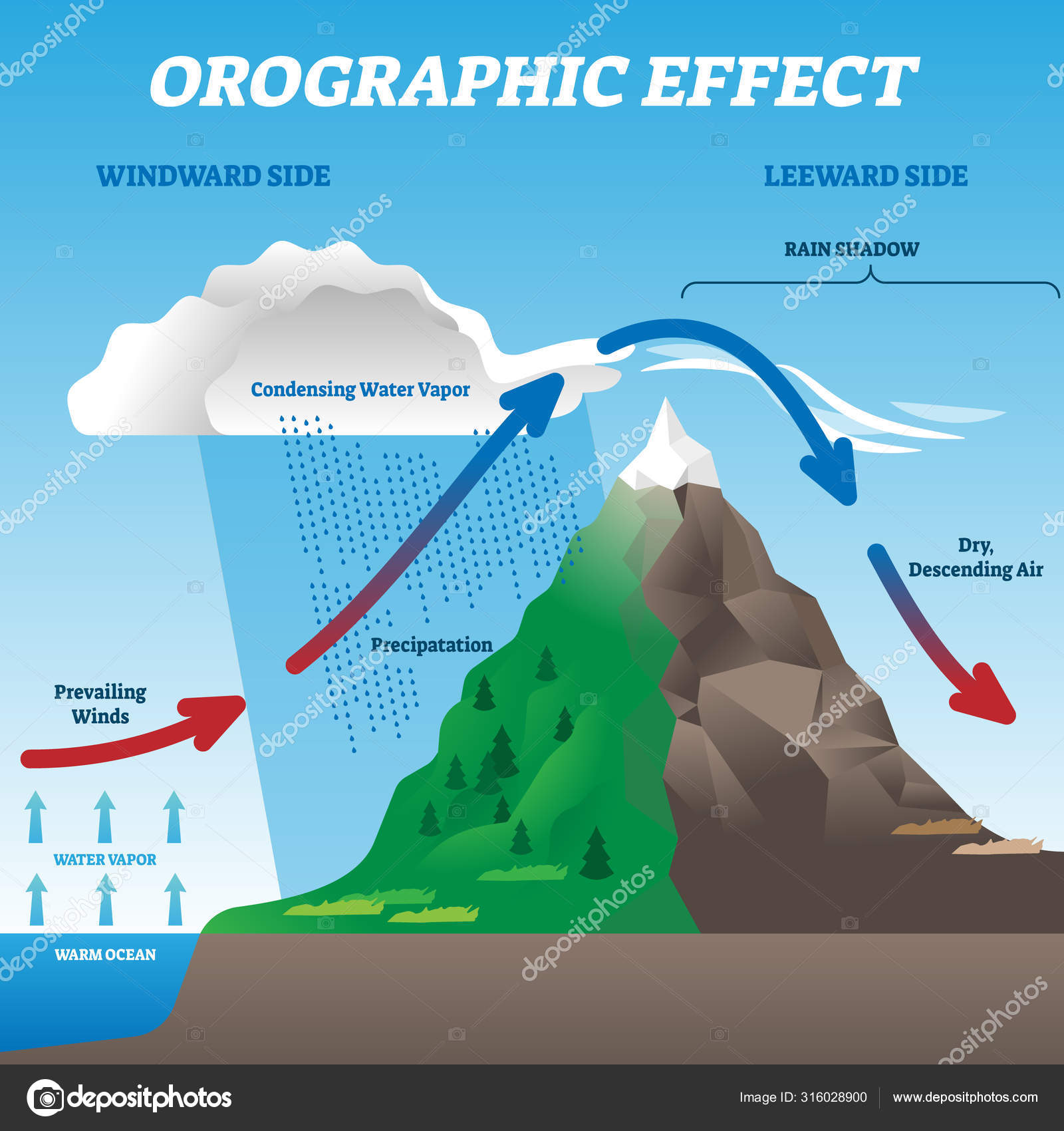 Cyclonic Precipitation Diagram